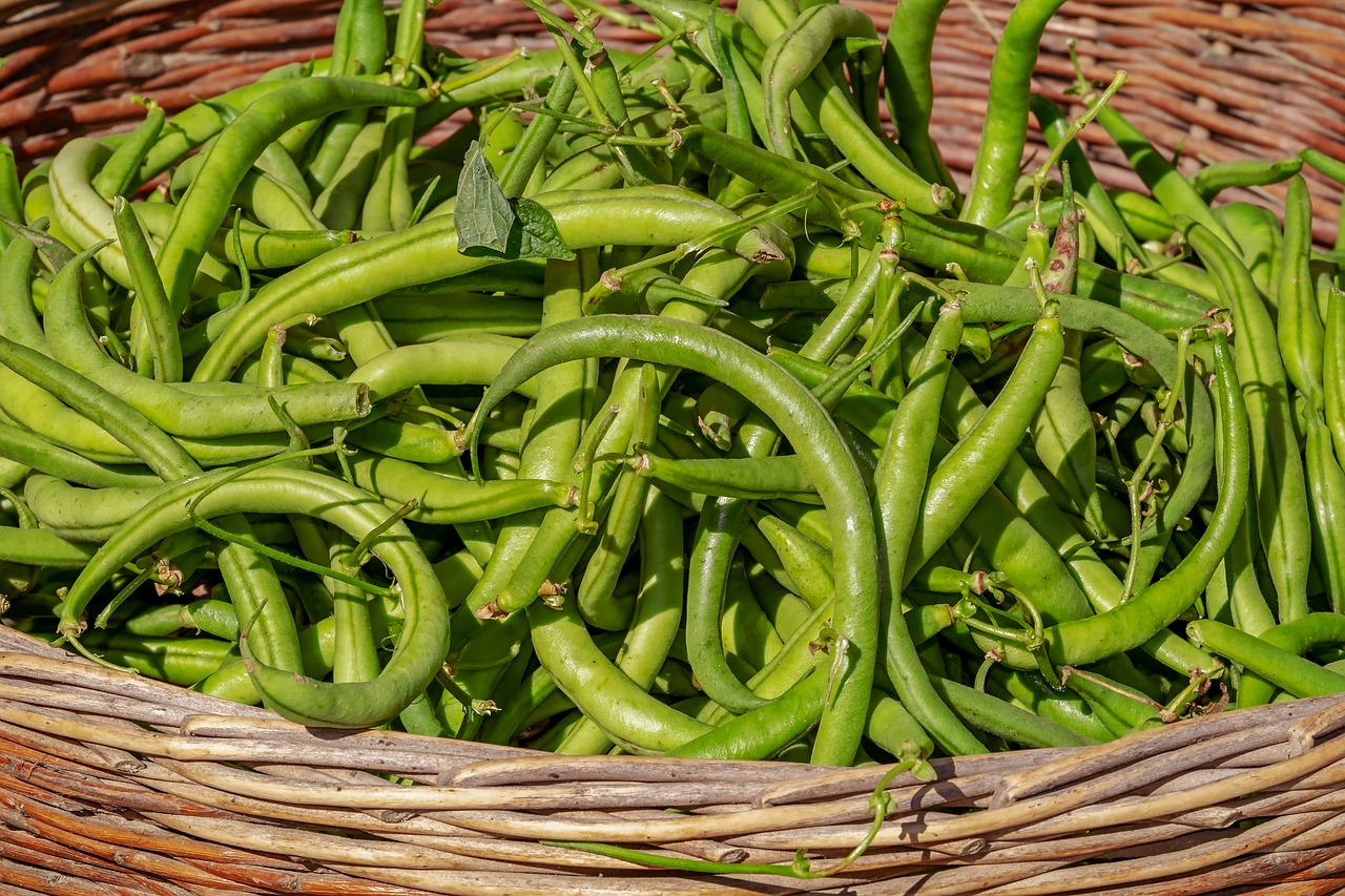 7 vegane Proteinquellen